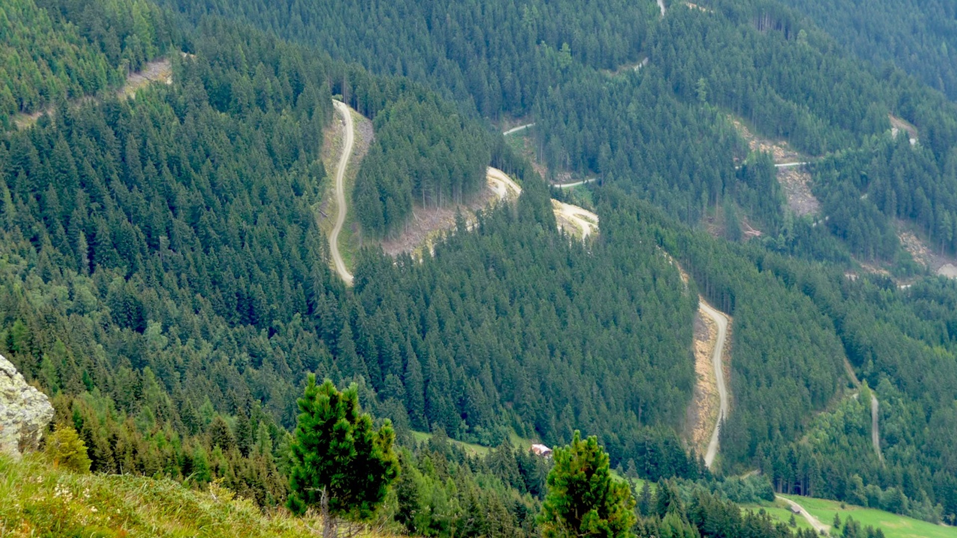 Mit dem Piepsi über den Grossglockner - PRIUSforum